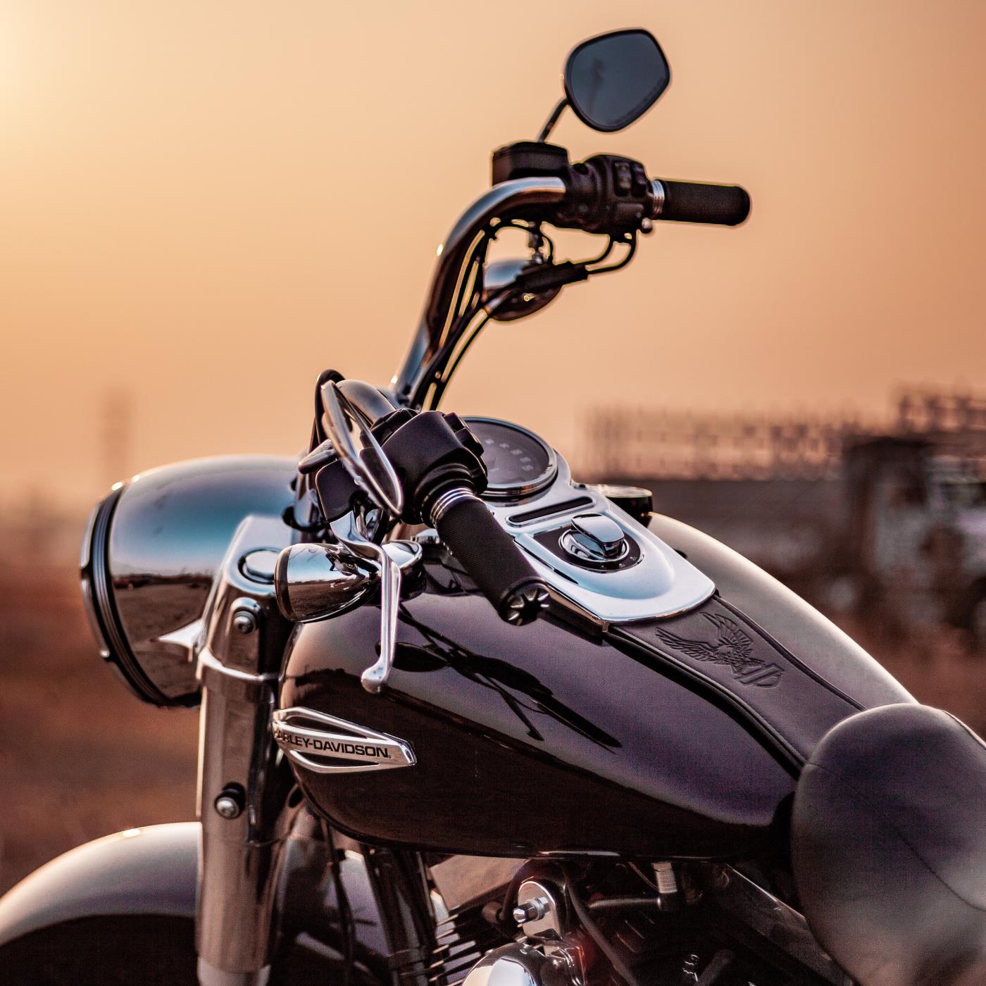 Ulysses Half Hour with Paul Nees