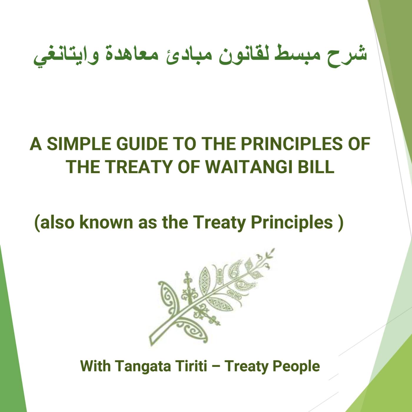 Arabic Guide to the Treaty Principles Bill